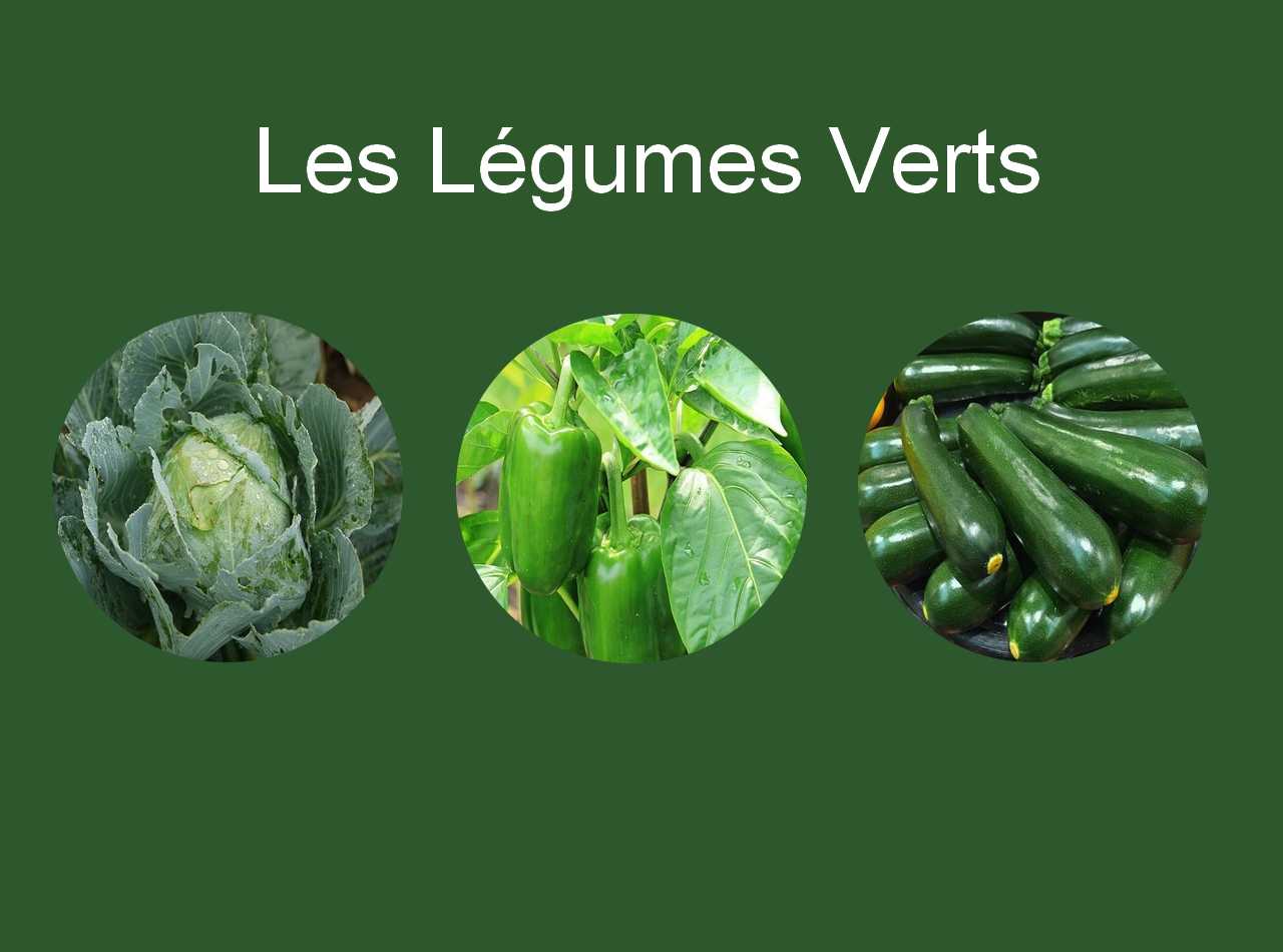 les-légumes-verts - Sitebook